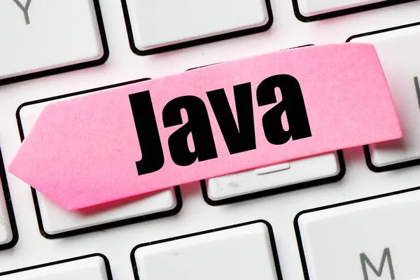 Mastering Java: A Comprehensive Guide to Object-Oriented Programming - Compitionpoint